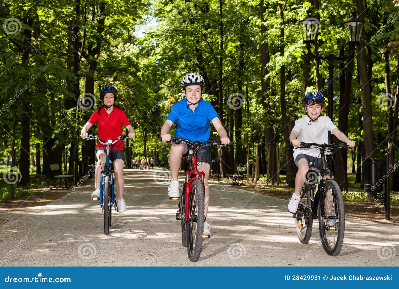 Family biking stock image. Image of bike, bicycle, cyclists - 28429931