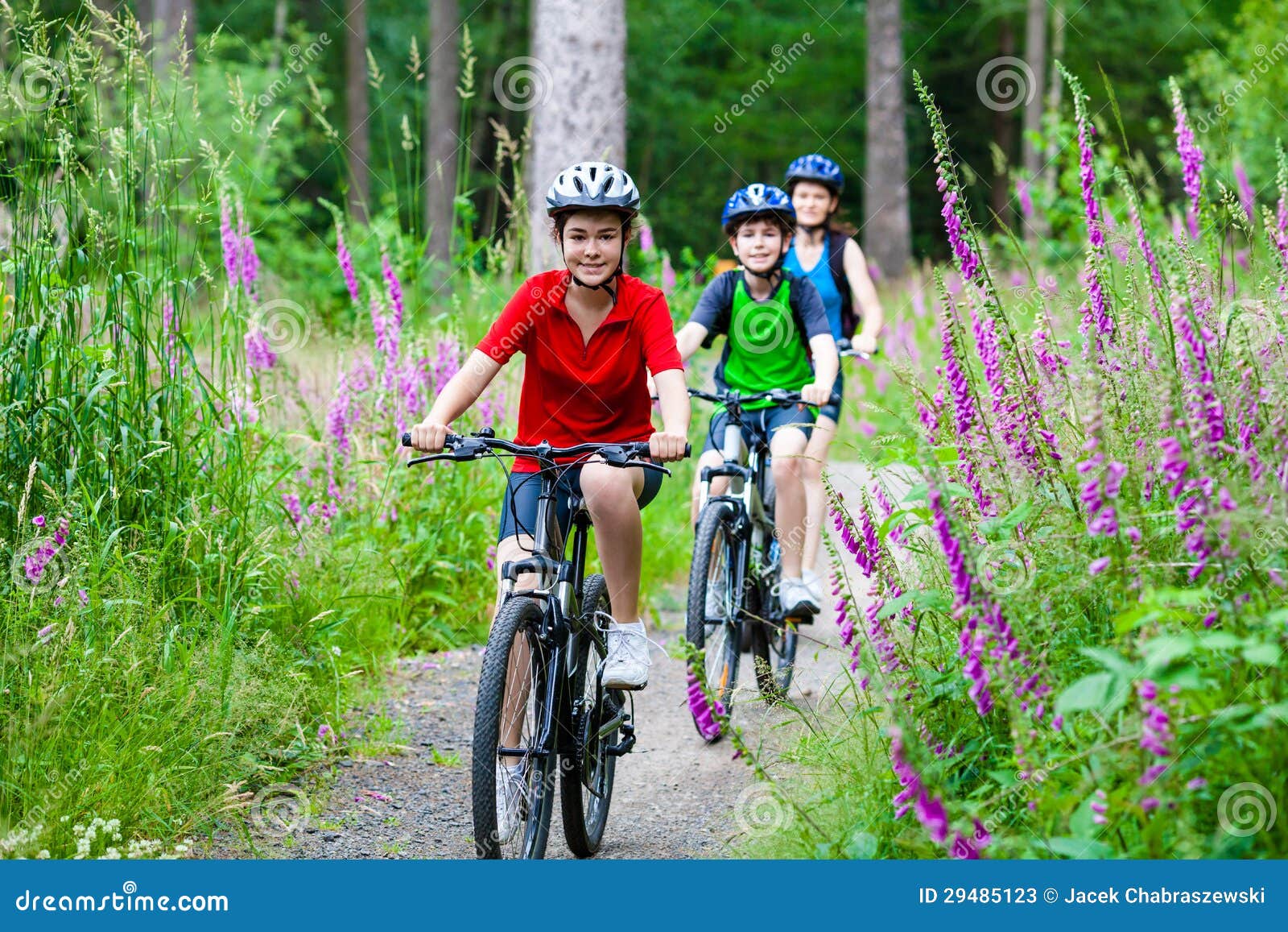 Family biking stock image. Image of bicycles, group, lane - 29485123