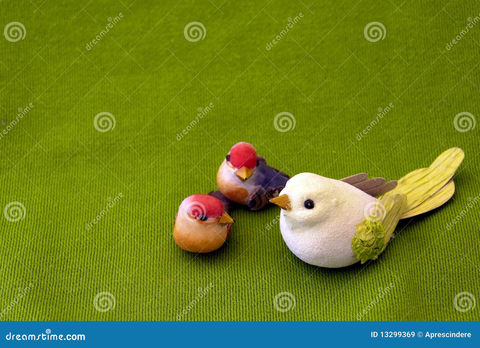Family birds stock image. Image of bird, feather, colors - 13299369