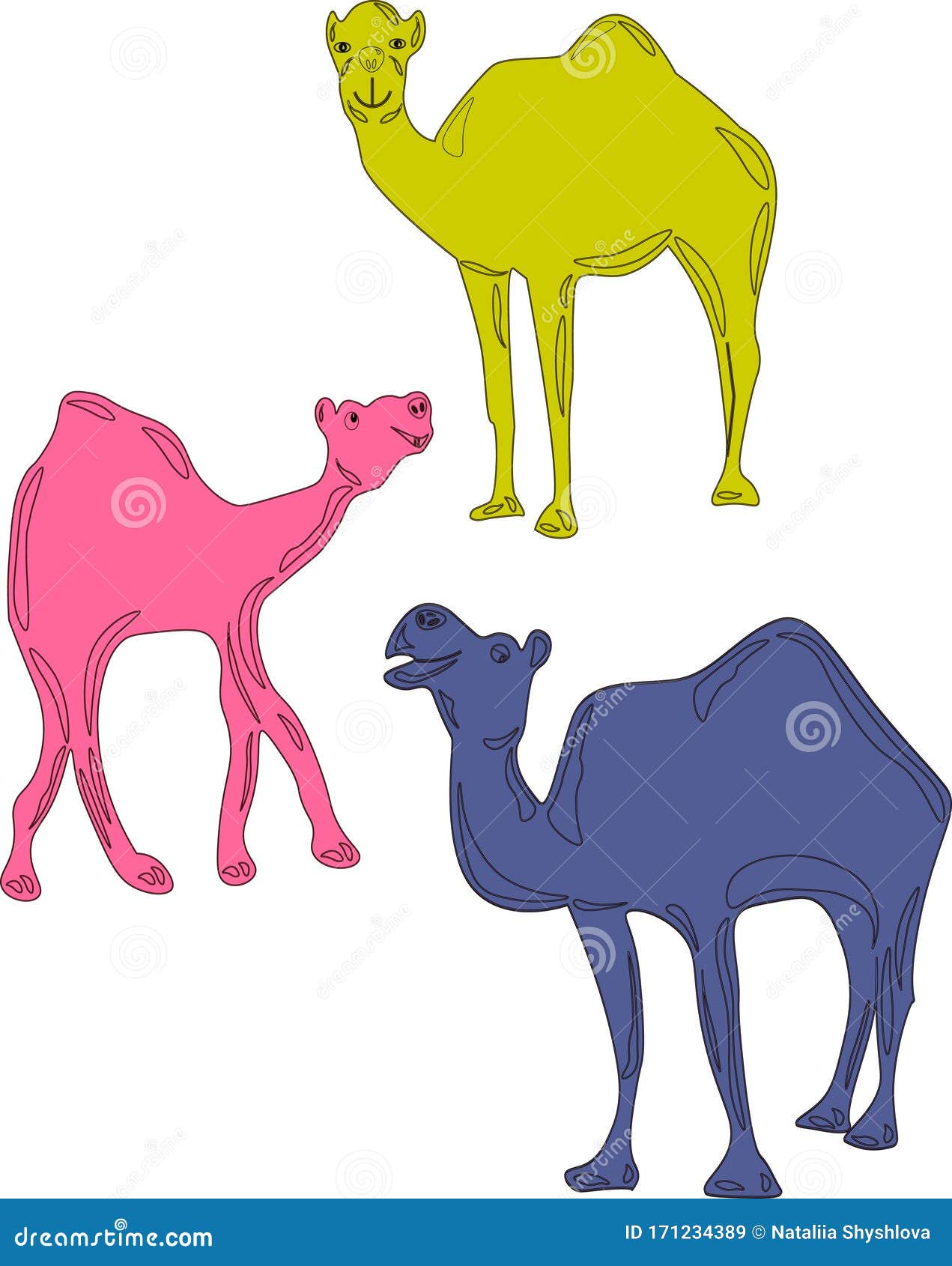 A Family of Charming Multi-colored Camels Stock Vector - Illustration ...