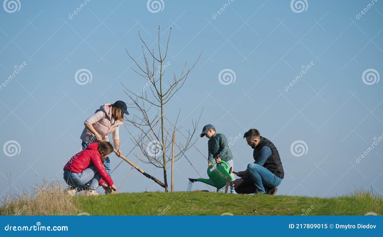 A Family with Children Caring for the Planted Tree Stock Video - Video ...