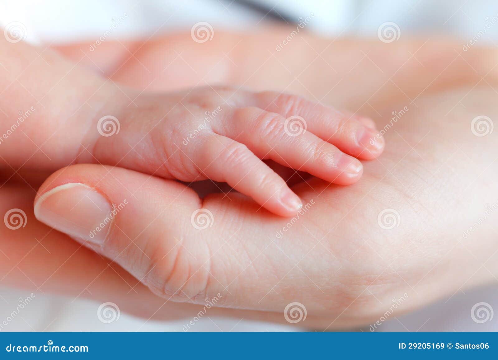 Family concept stock image. Image of beginning, precious - 29205169