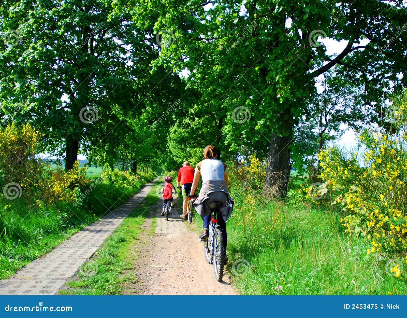 Family Cycling stock image. Image of bicycle, street, speed - 2453475