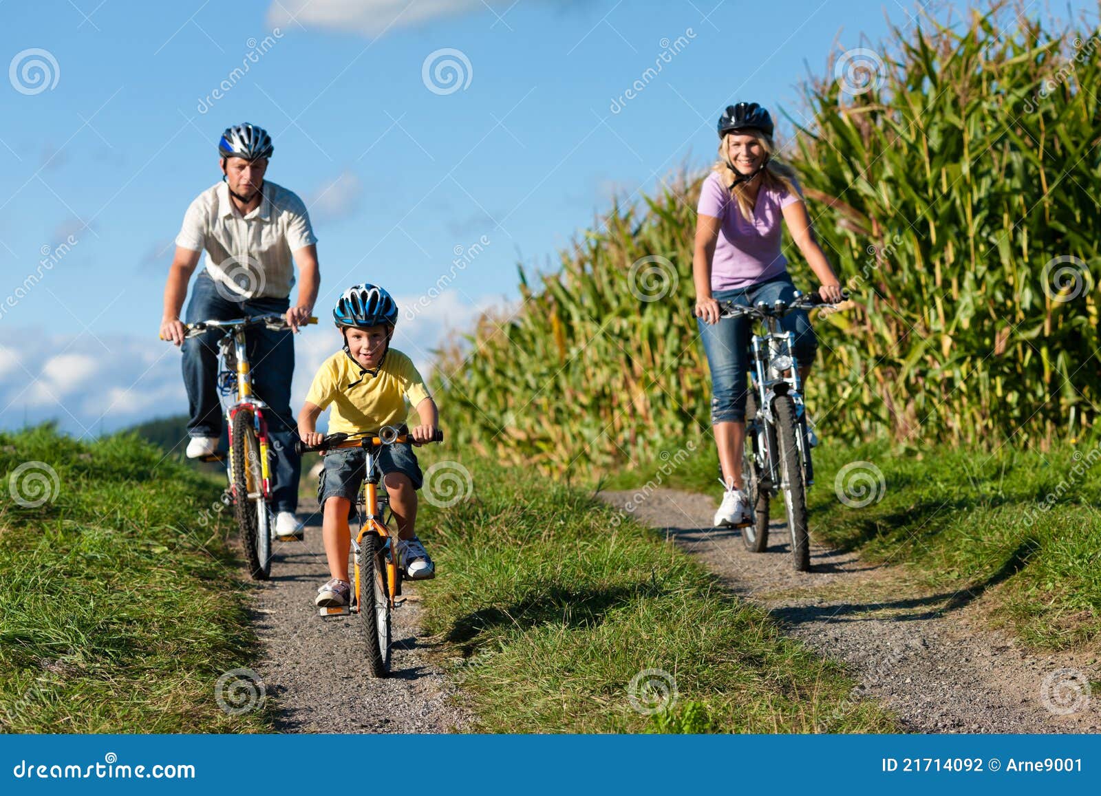 Family is Cycling in Summer Stock Photo - Image of bicycle, outdoors ...