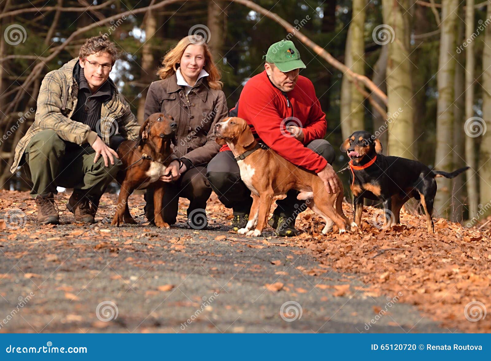 Family with dogs outdoors stock photo. Image of forest - 65120720