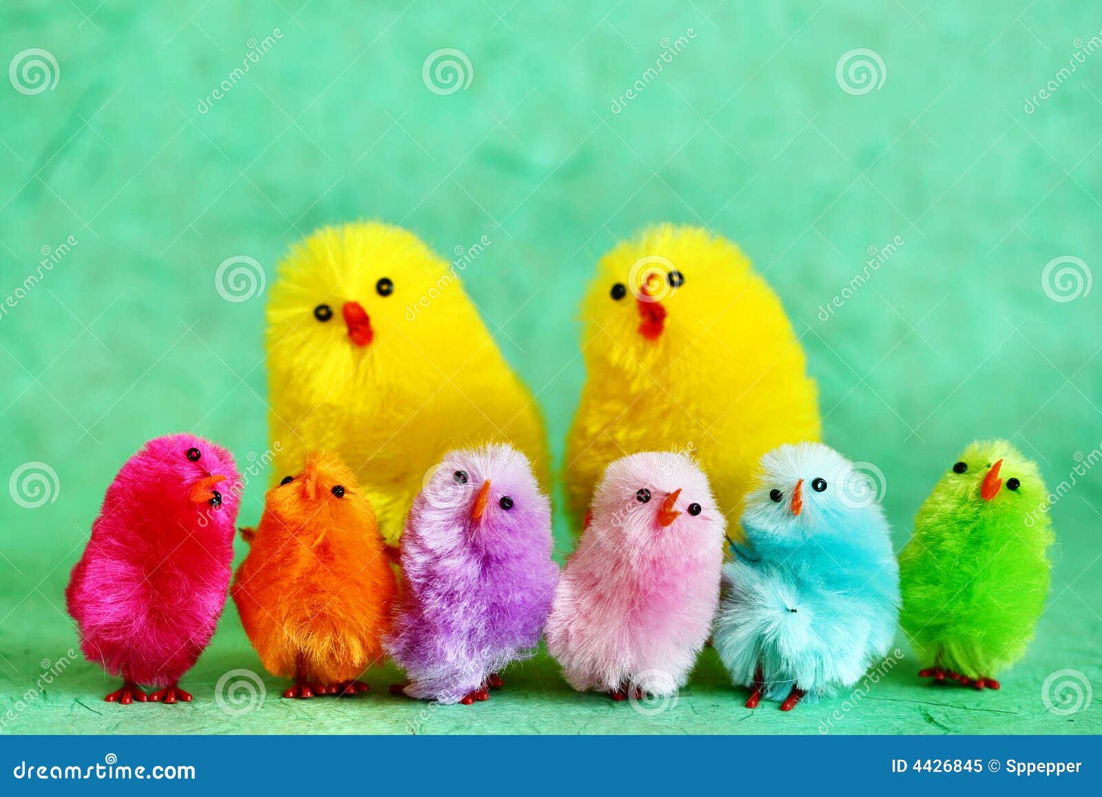 Family of Easter chicks stock image. Image of holiday - 4426845