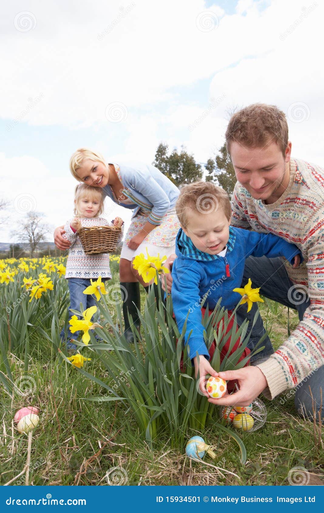Family on Easter Egg Hunt in Daffodil Field Stock Image - Image of ...