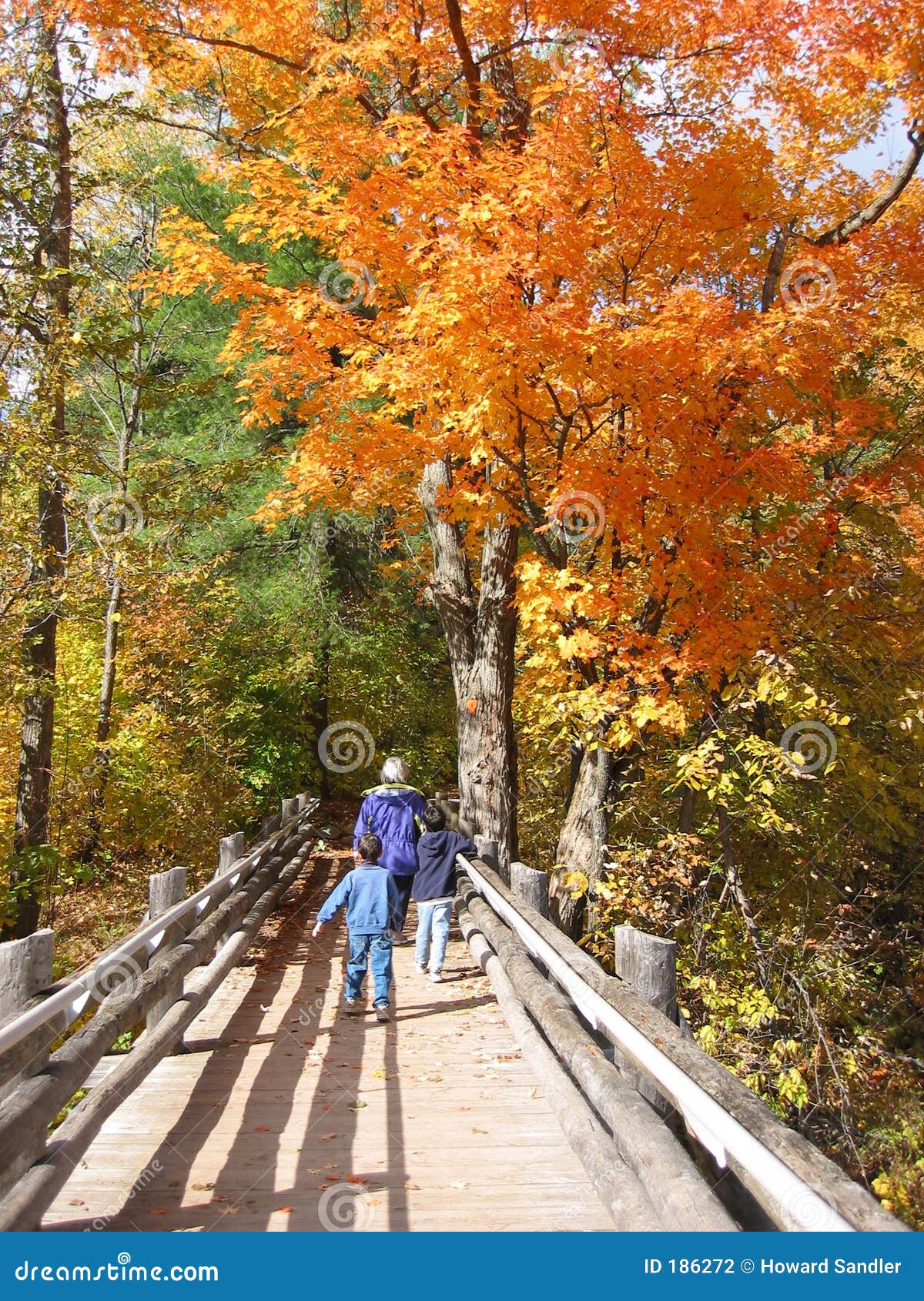Family Enjoying Fall Colors Stock Photo - Image of park, gatineau: 186272