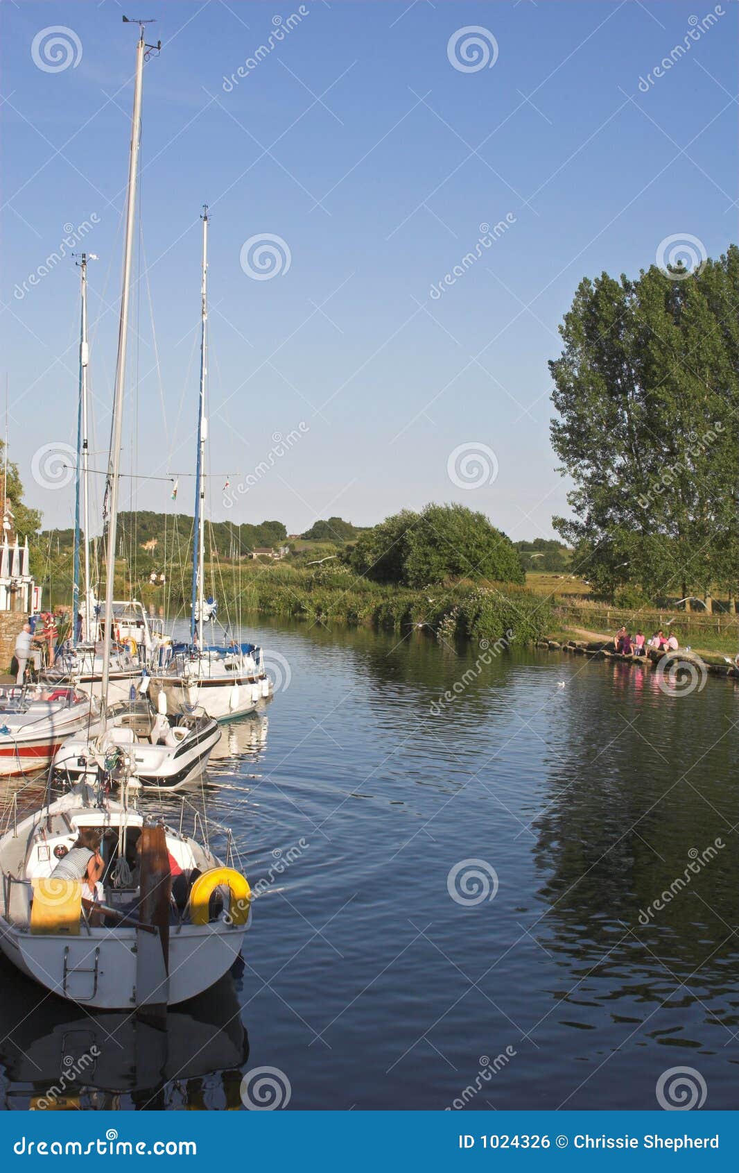 Family Enjoying Picnic by River Stock Photo - Image of river, food: 1024326