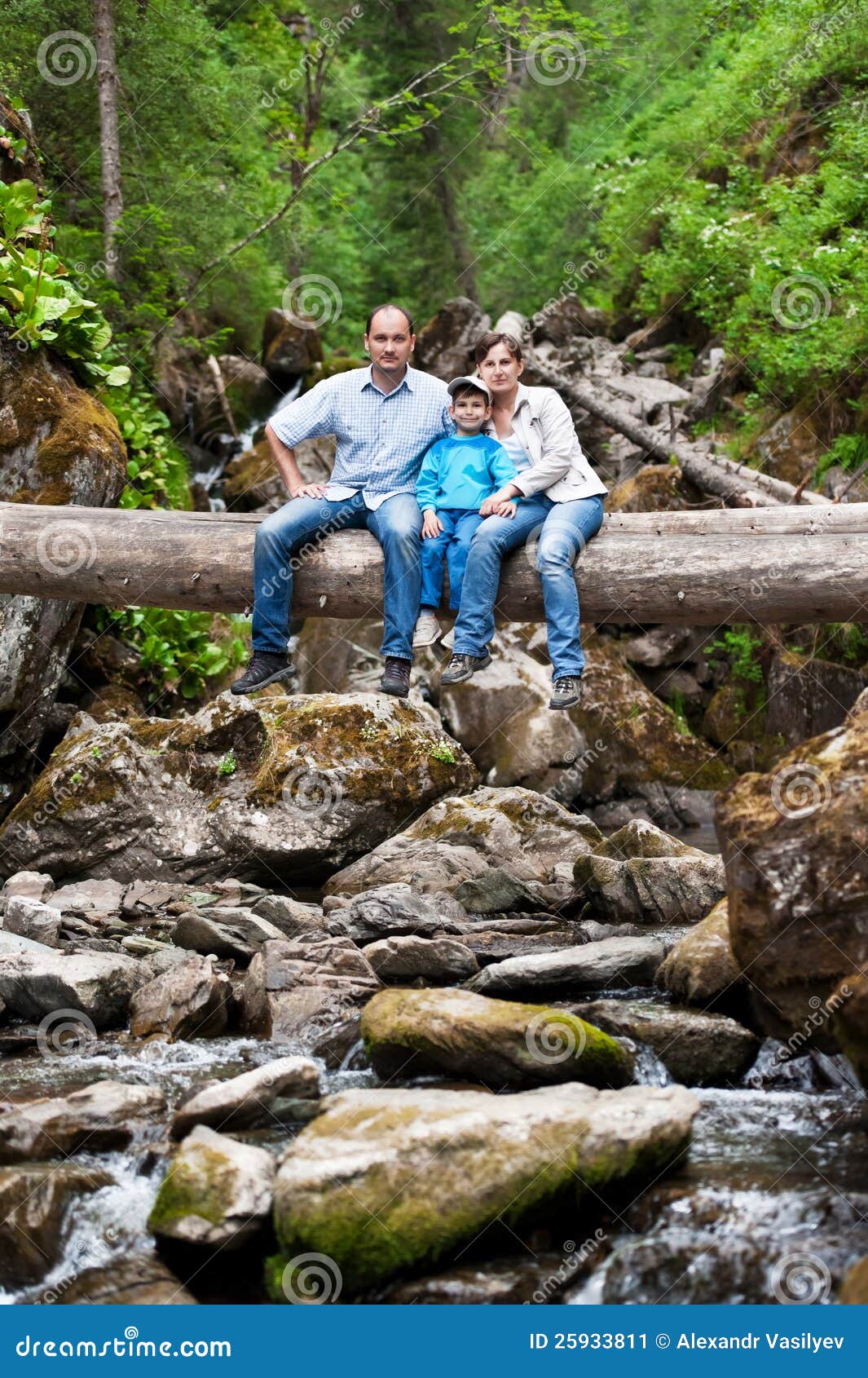 Family on a Fallen Tree Across the River Stock Image - Image of stone ...