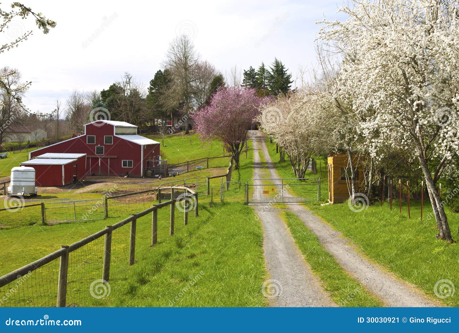 Family Farm in Rural Oregon. Stock Image - Image of outdoors, dirt ...