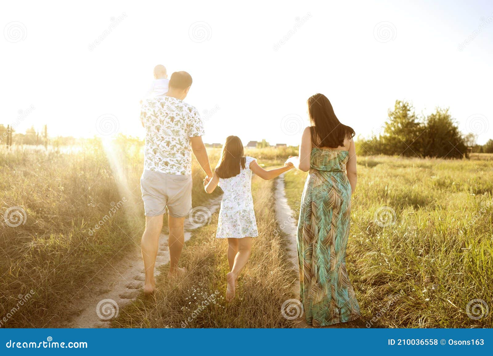 Family in a Field at Sunset Walking with Their Backs in the Frame Stock ...