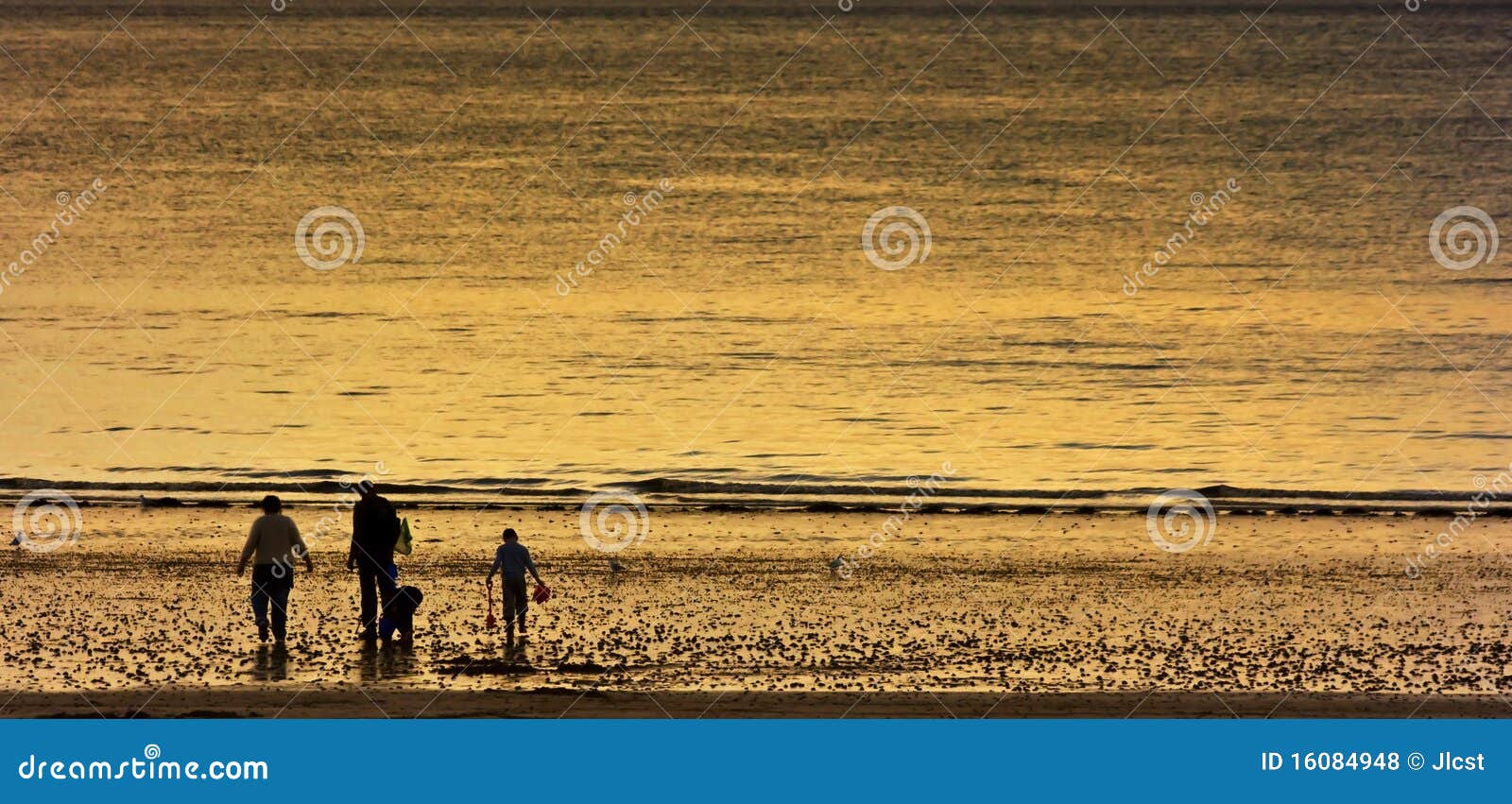 Family Fishing at Sunset. stock photo. Image of relaxation - 16084948