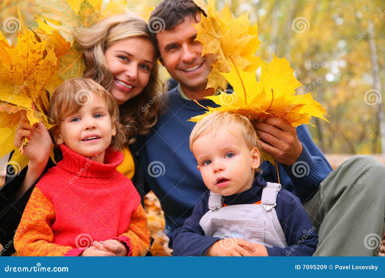 Yellow Maple Tree In Jess Martin Park, Julian, California Royalty-Free ...