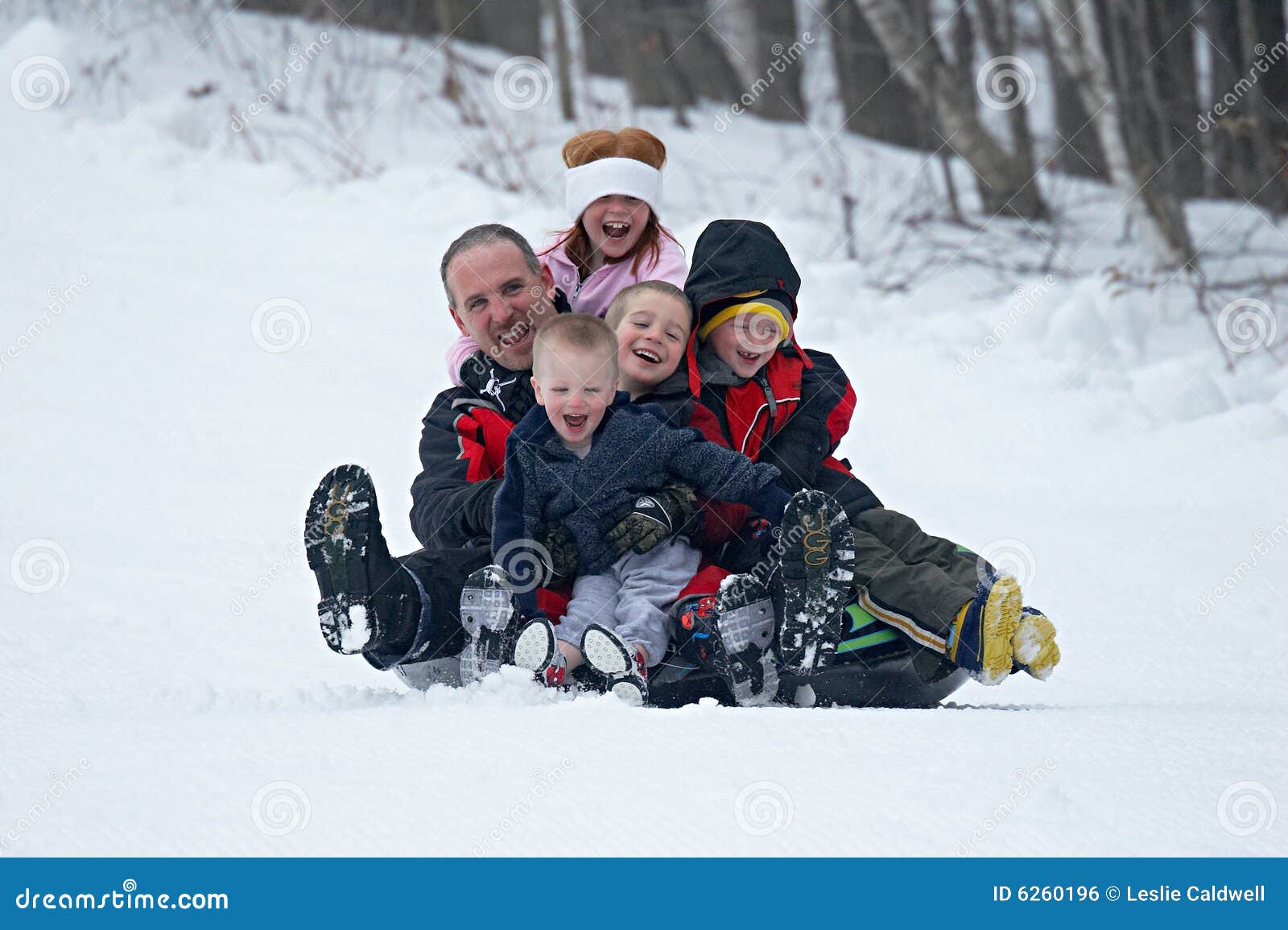 Family fun stock photo. Image of family, sledding, winter - 6260196