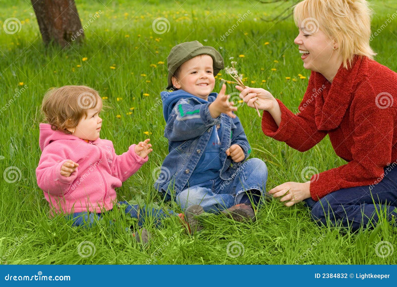 Family fun in the grass stock photo. Image of childhood - 2384832