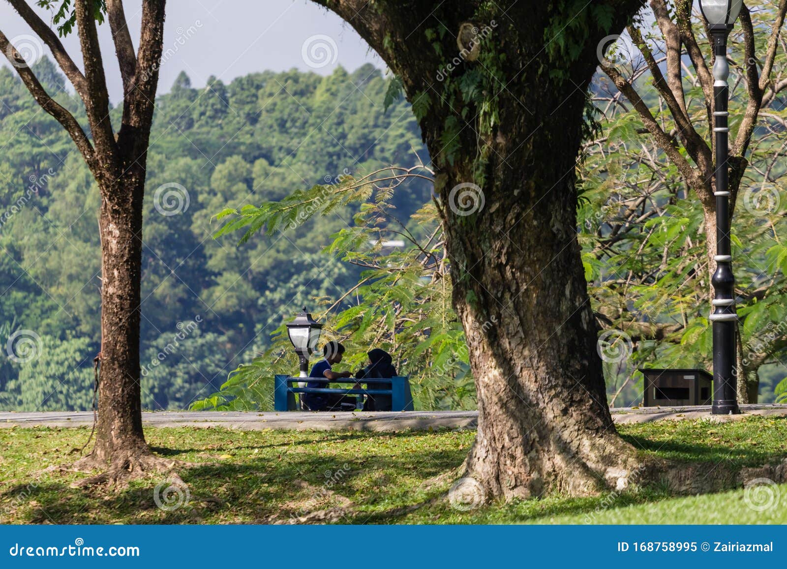 Family Gathering at the Park in the Morning Stock Image - Image of ...