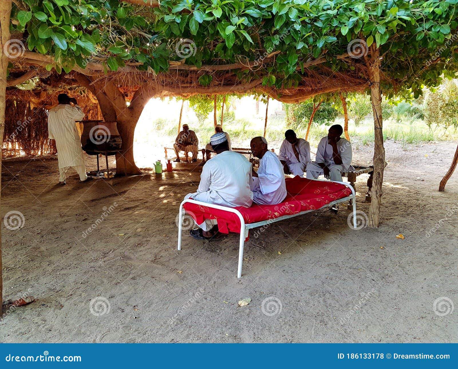 Family gathering in tree editorial stock photo. Image of nature - 186133178