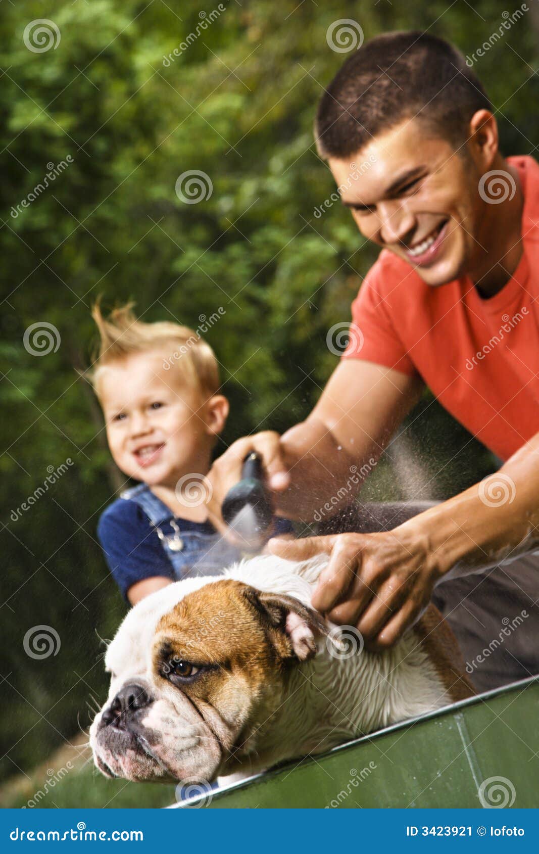 Family giving dog a bath. stock image. Image of enjoyment - 3423921