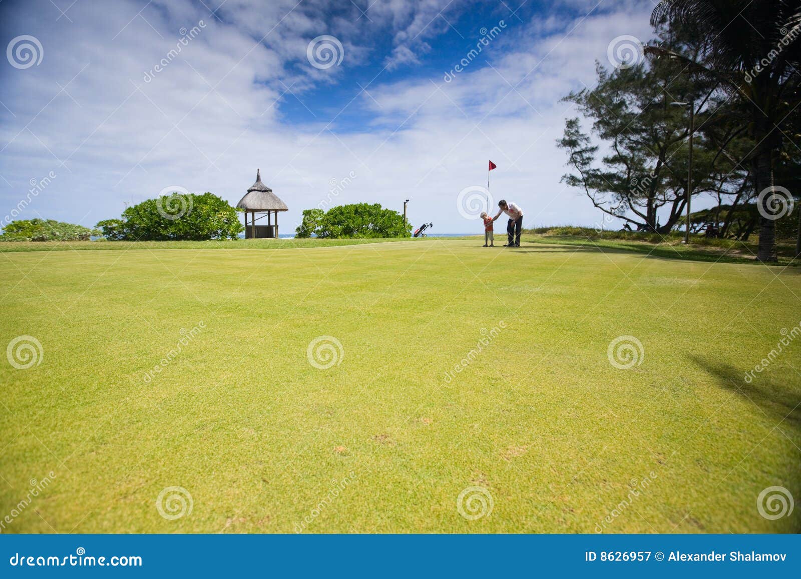 Family Golf stock image. Image of action, club, competition - 8626957