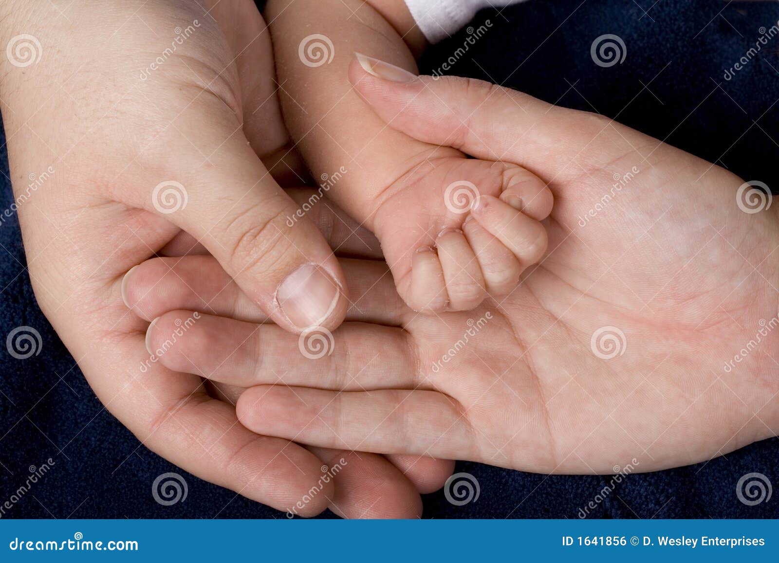 Family of Hands stock photo. Image of familiar, father - 1641856