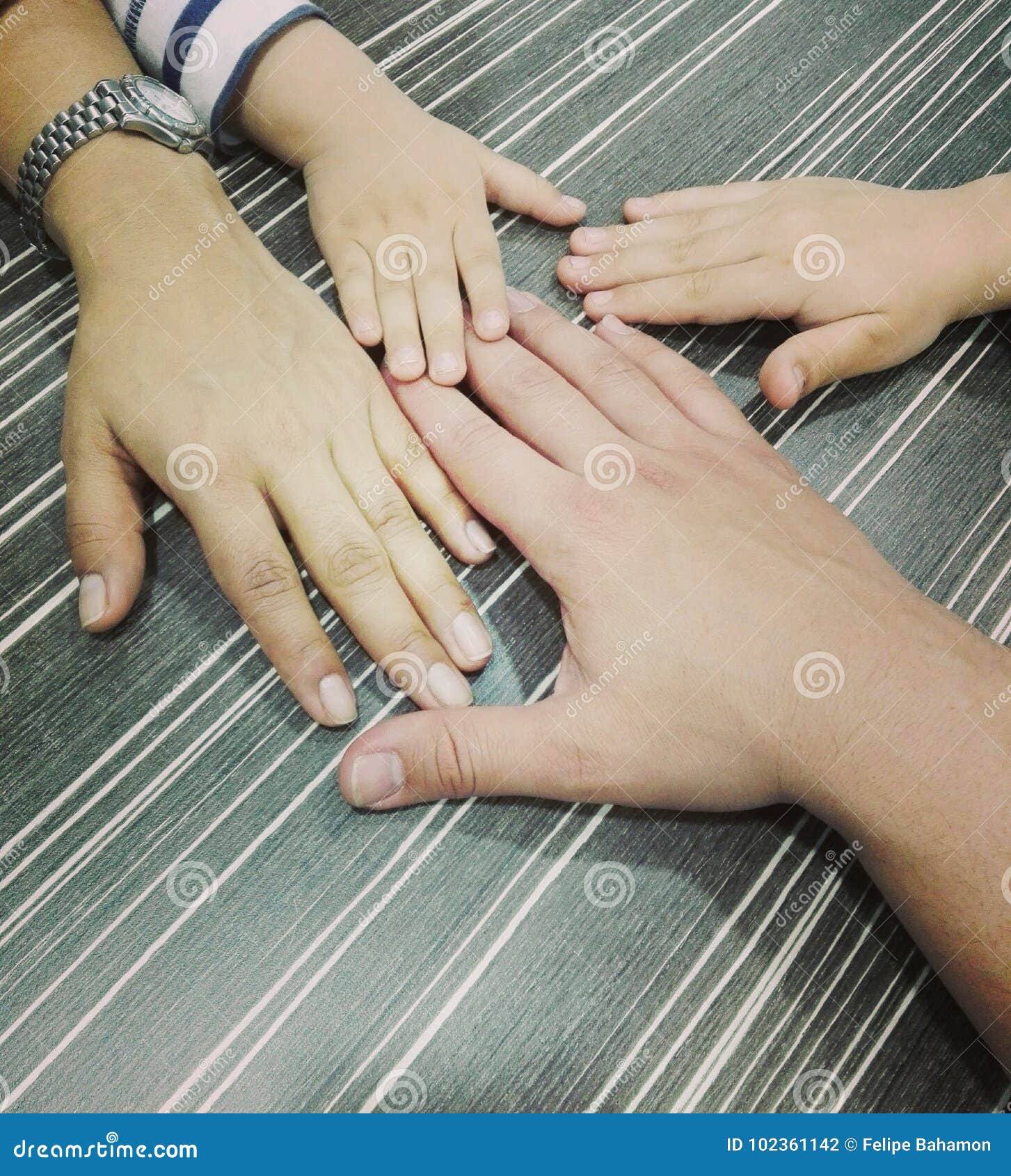Family hands stock photo. Image of baby, hands, hand - 102361142