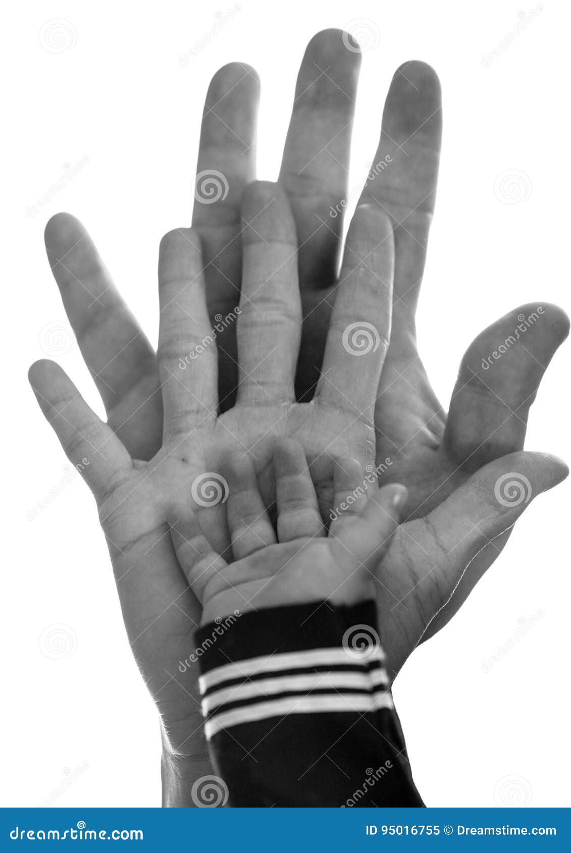 Family Hands on White Background Stock Image - Image of mother, care ...