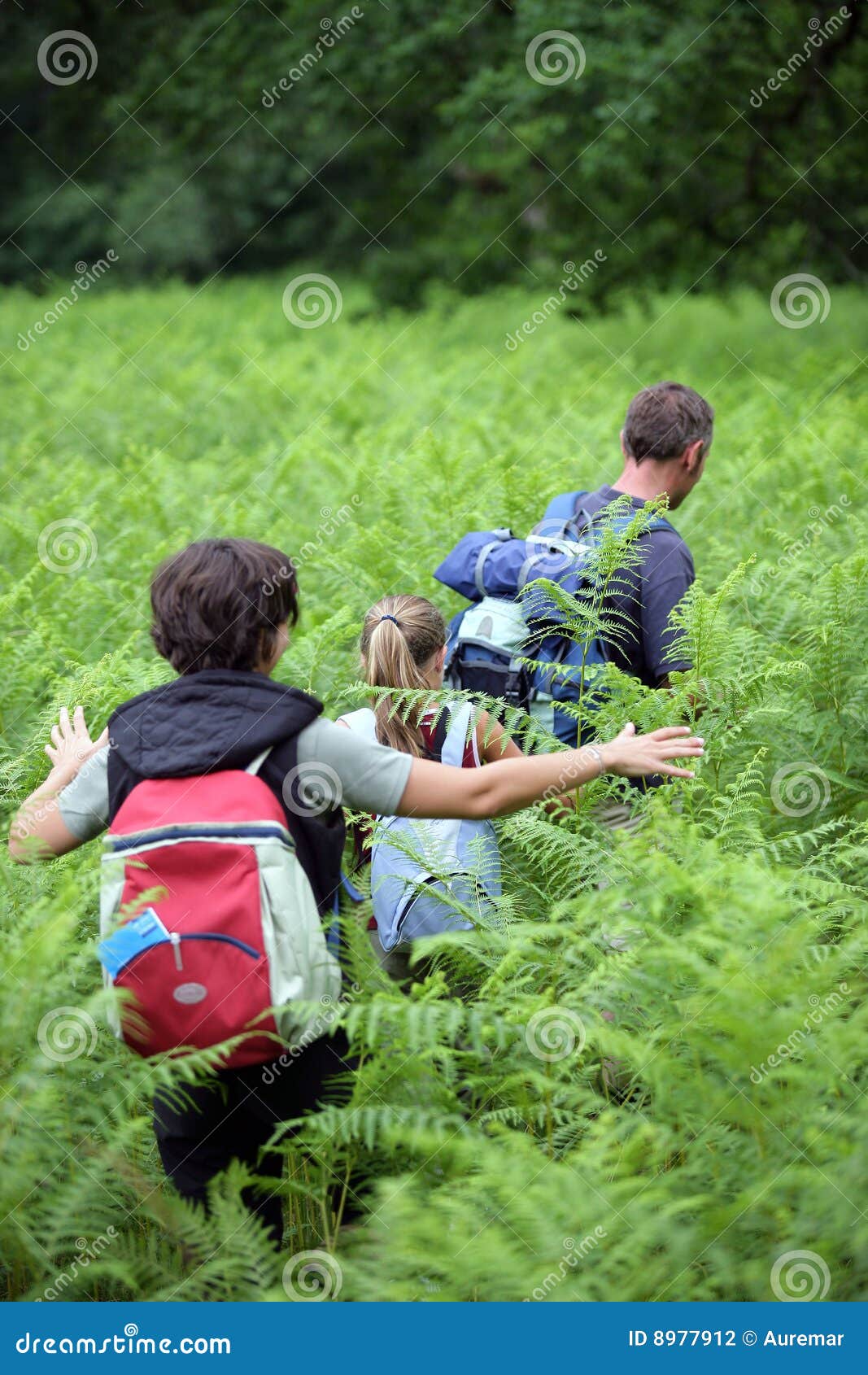 Family hiking in a field stock photo. Image of caucasian - 8977912