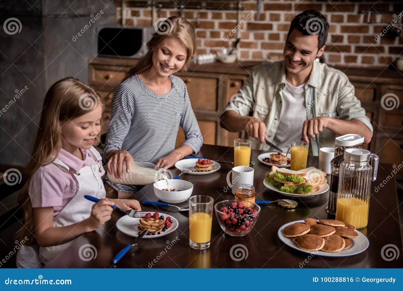 Family in kitchen stock photo. Image of lunch, breakfast - 100288816