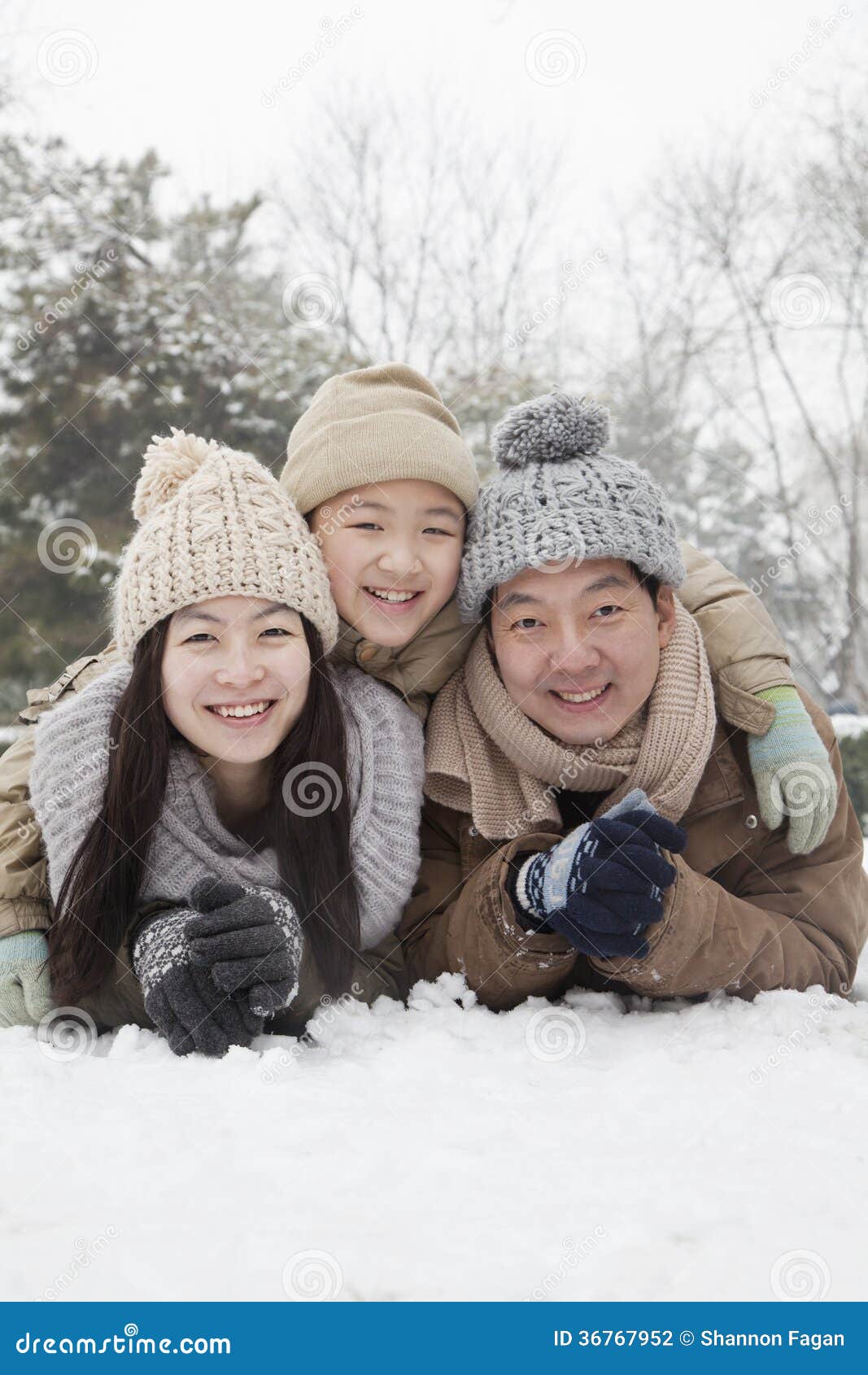 Family Laying in Snow for Portrait Stock Photo - Image of china ...