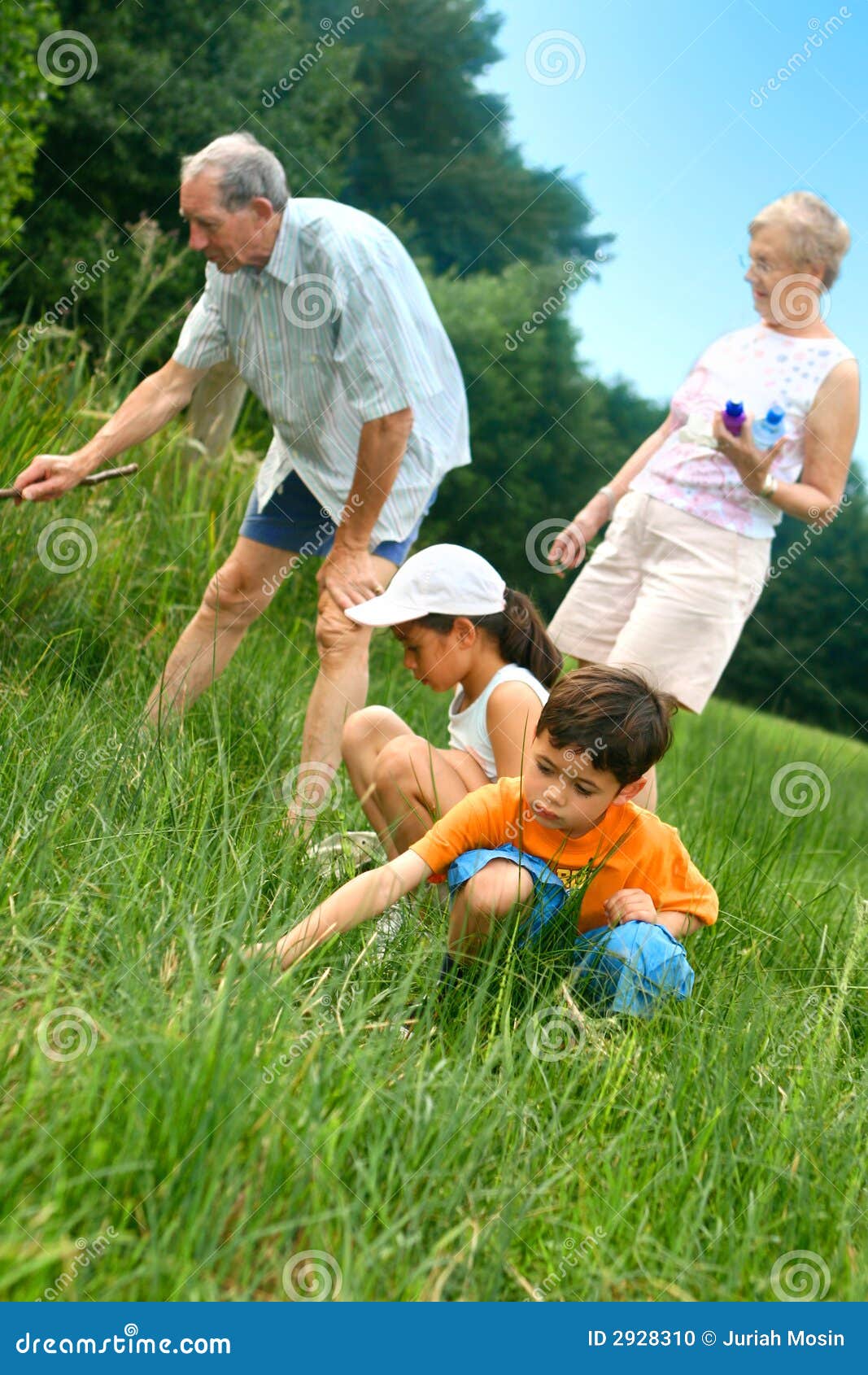 Family looking for insects stock photo. Image of feel - 2928310