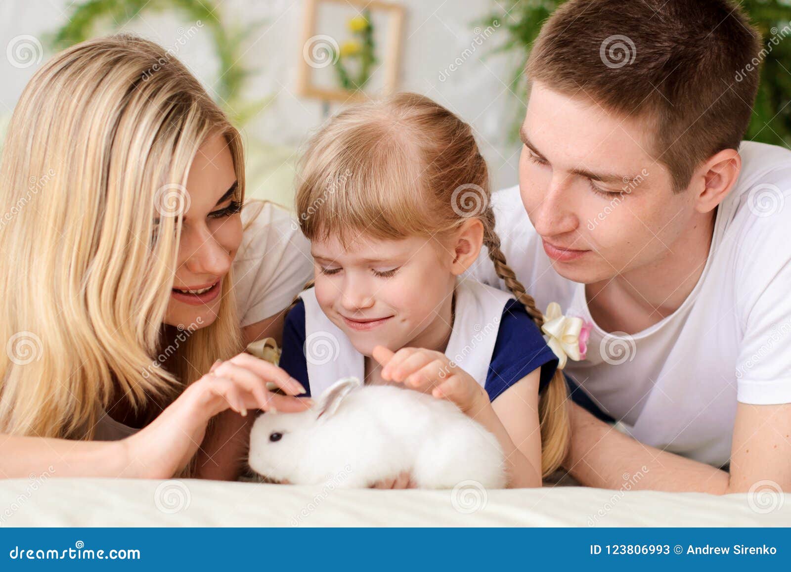 Family Playing with White Rabbit Stock Image - Image of hair, facial ...