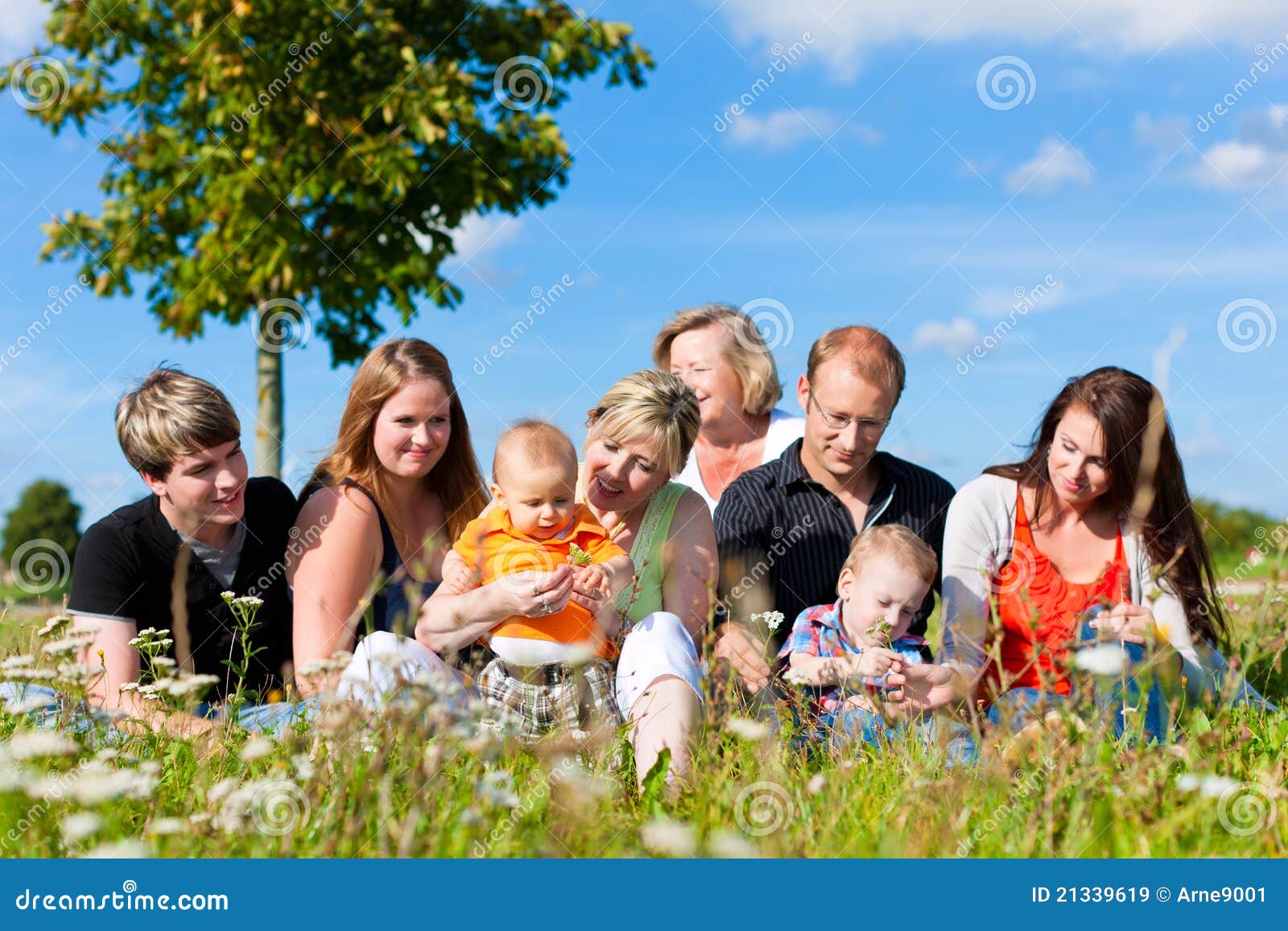 Family and Multi-generation - Fun on Meadow in Sum Stock Image - Image ...