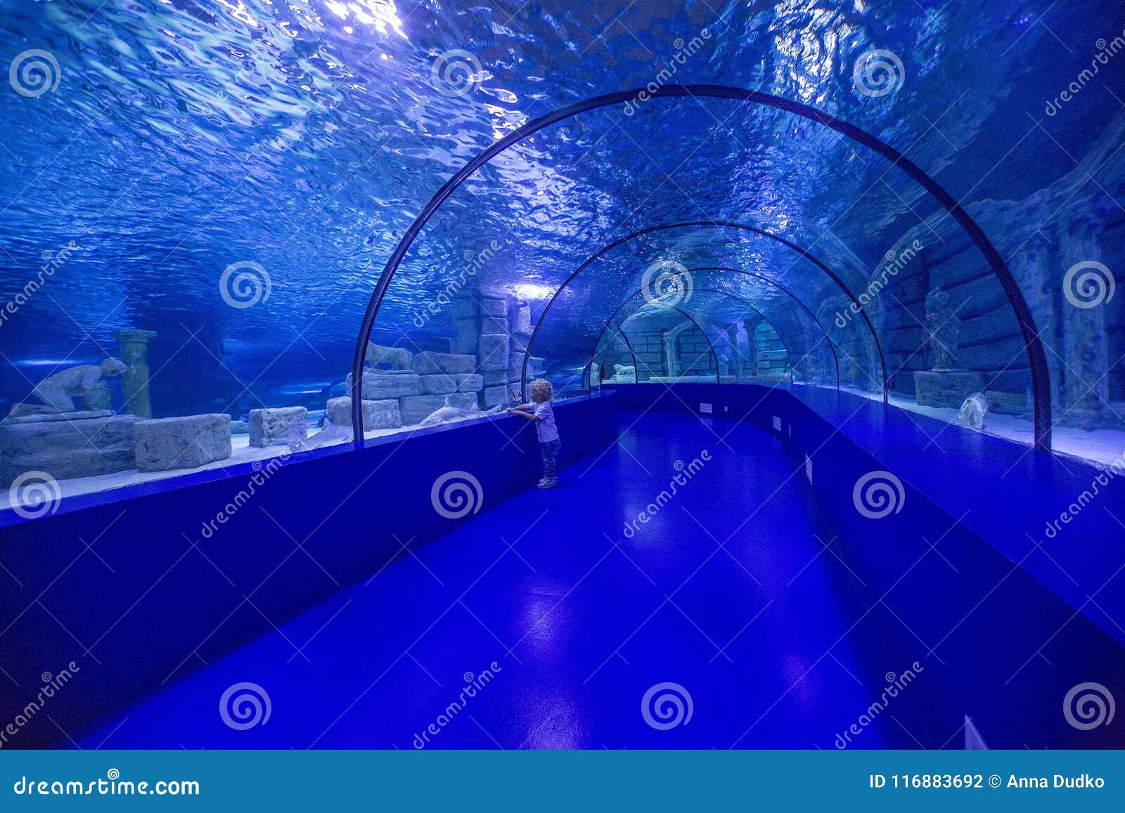 Family Observing Fish at the Aquarium Stock Photo - Image of ocean ...