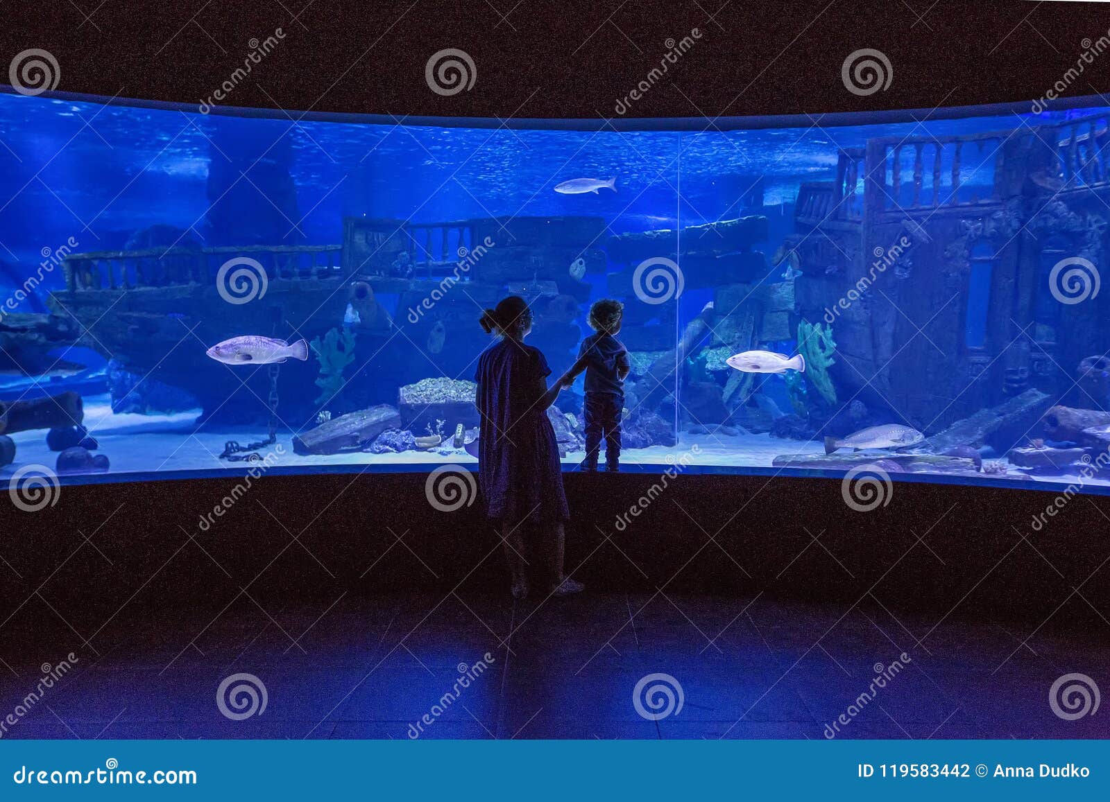 Family Observing Fish at the Aquarium Stock Photo - Image of blue ...