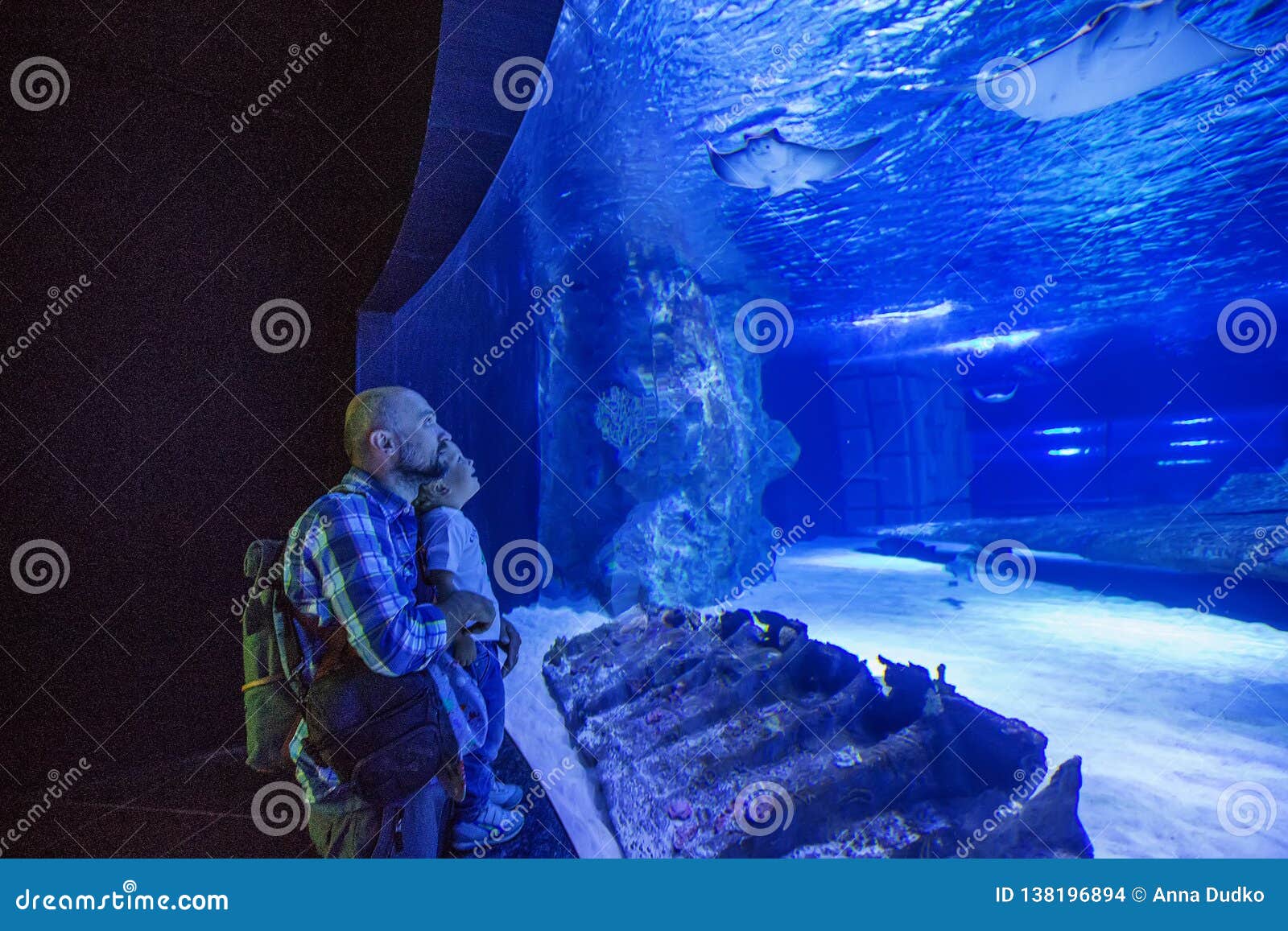Family Observing Fish at the Aquarium Stock Photo - Image of blue ...