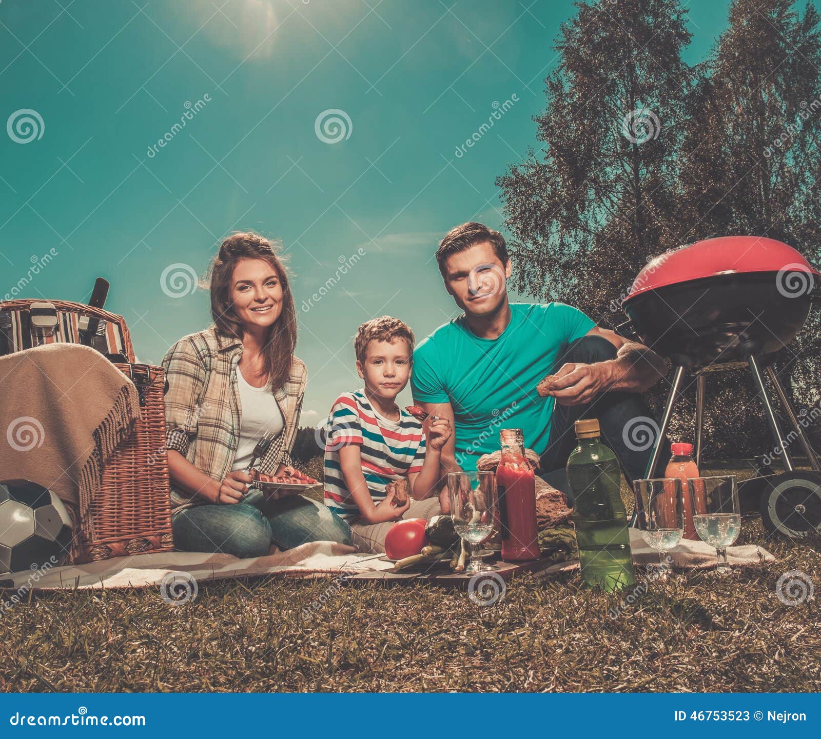 Family outdoors stock image. Image of park, picnic, grill - 46753523