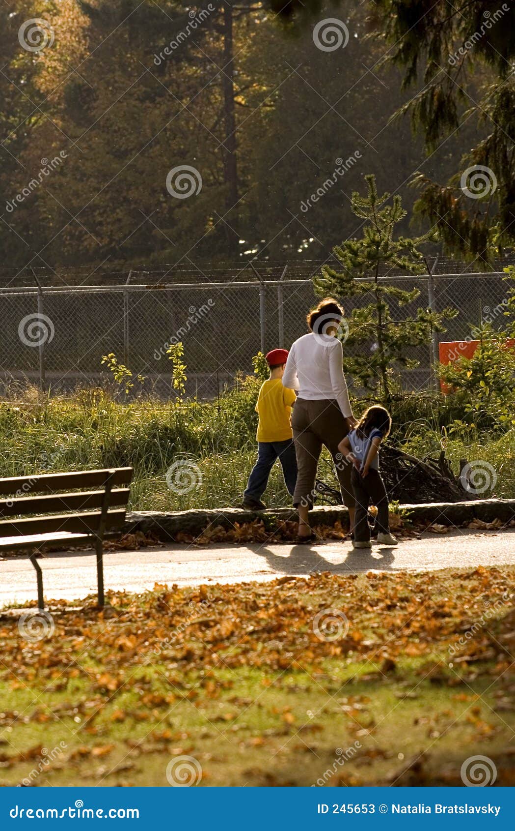 Family outing in the park editorial stock photo. Image of activity - 245653