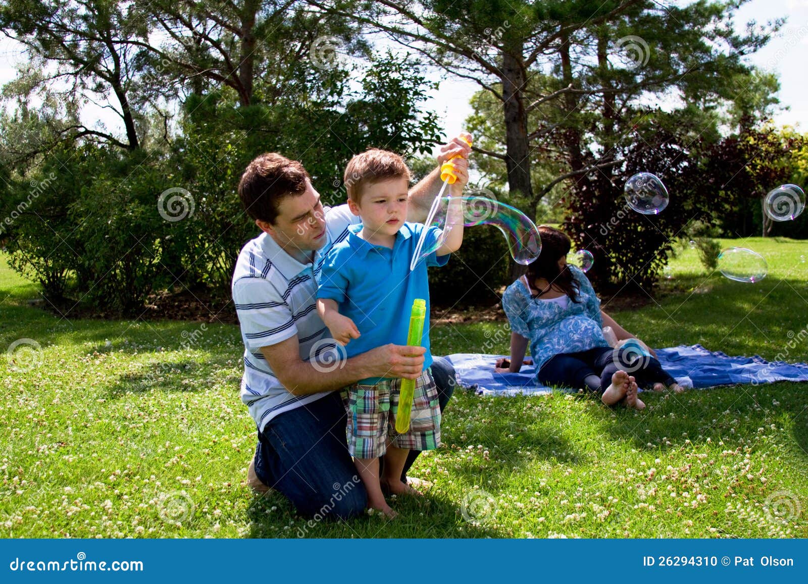 Family on park outing stock photo. Image of blowing, smiling - 26294310