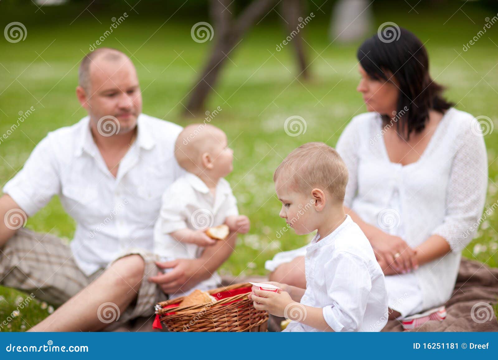 Family picknic stock image. Image of happy, outdoors - 16251181