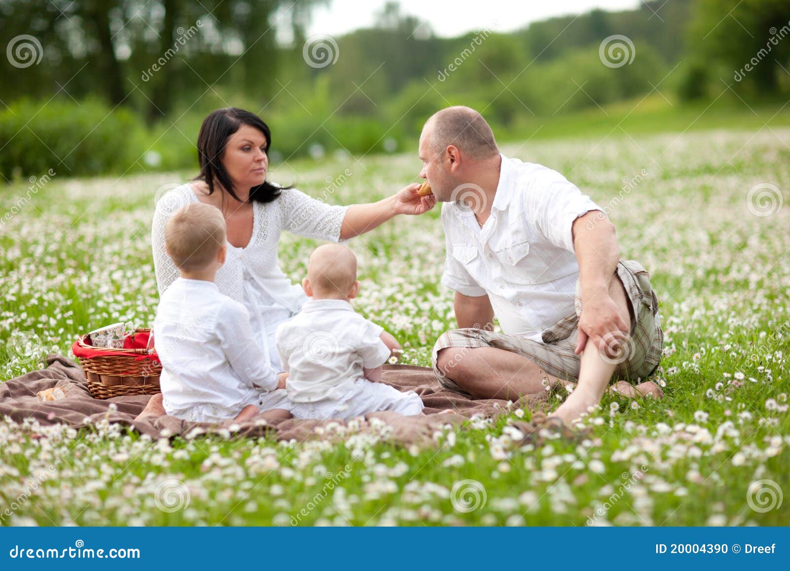 Family picknic stock photo. Image of meadow, cheerful - 20004390
