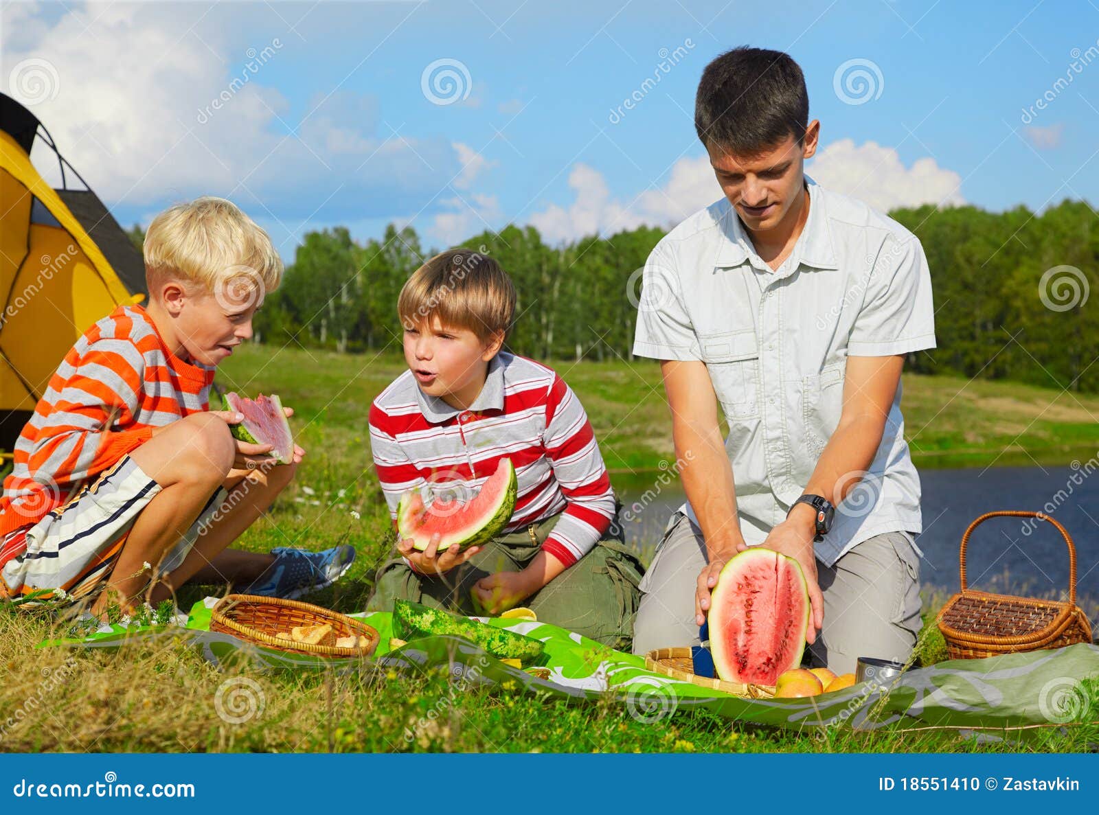 Family picnic stock photo. Image of lifestyles, grass - 18551410