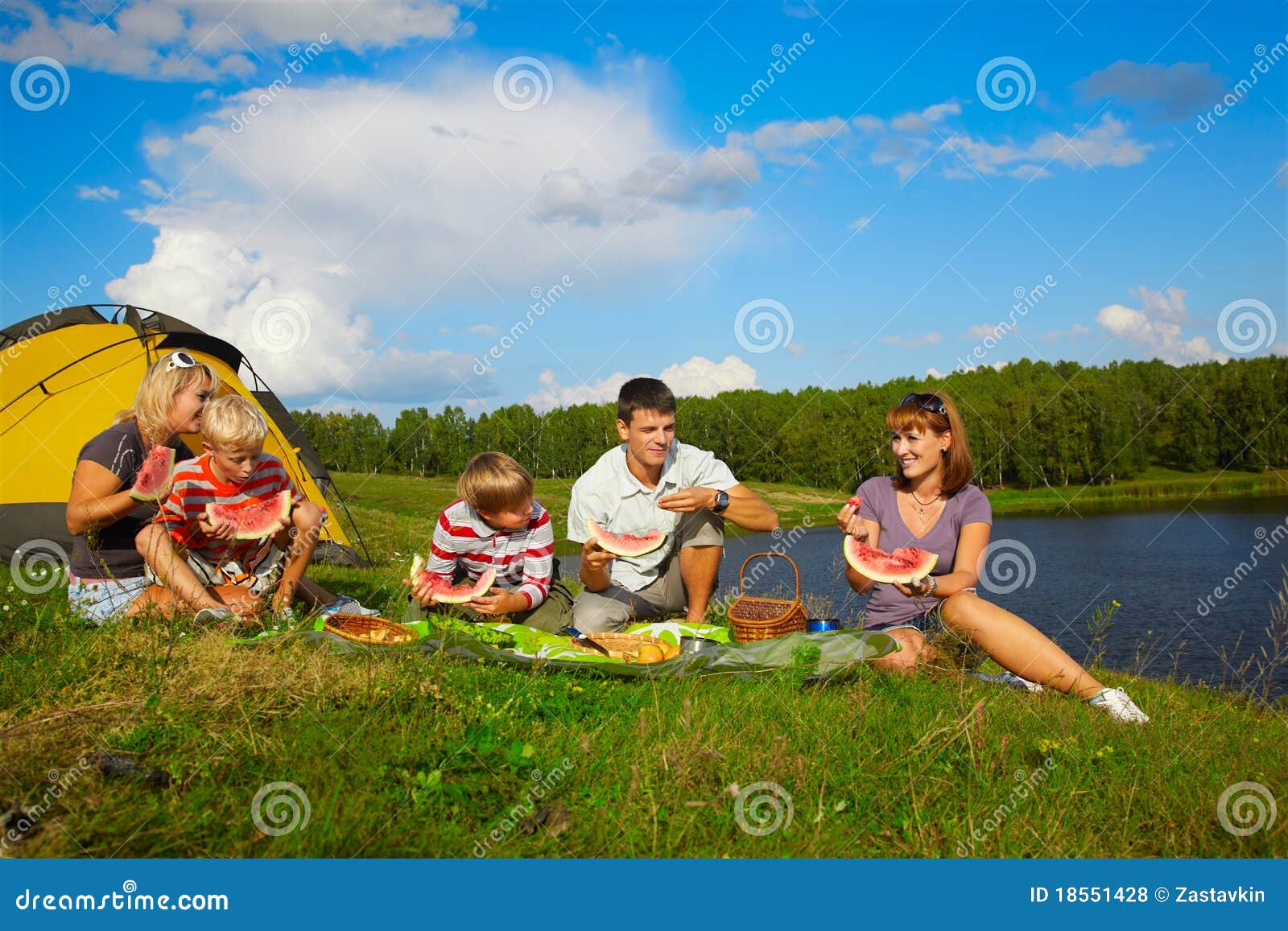Family picnic stock photo. Image of mother, lifestyles - 18551428
