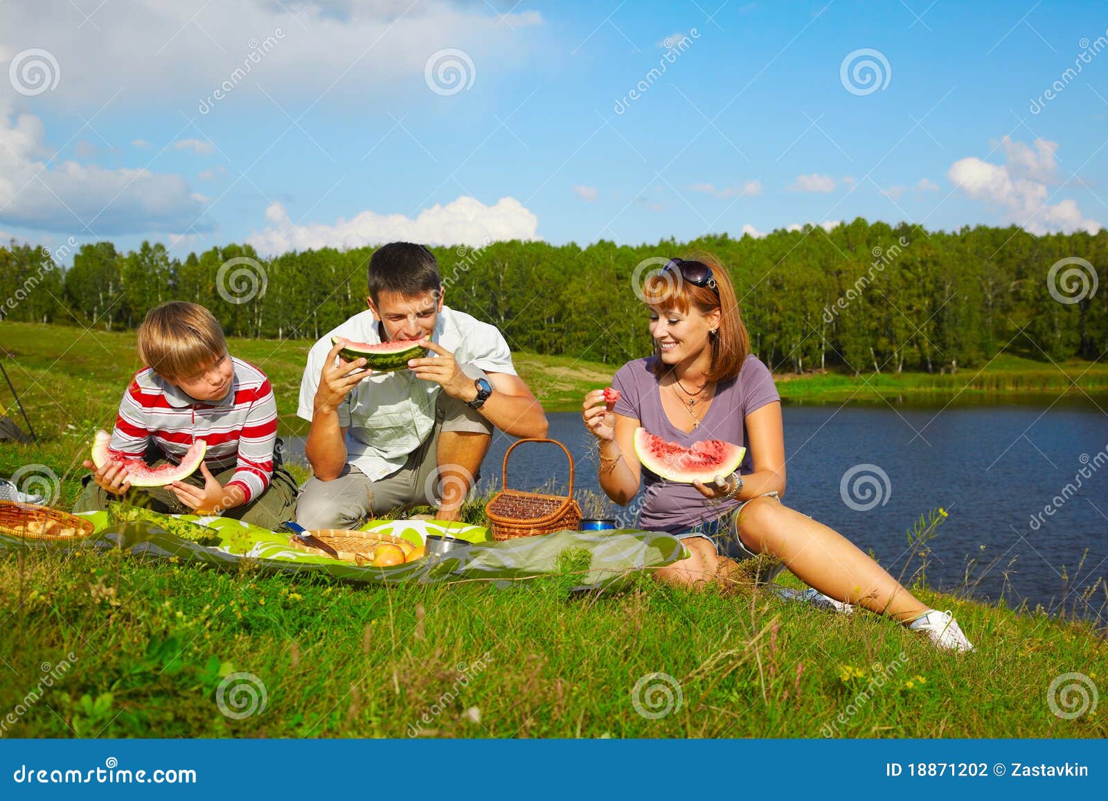 Family picnic stock photo. Image of organic, lifestyles - 18871202