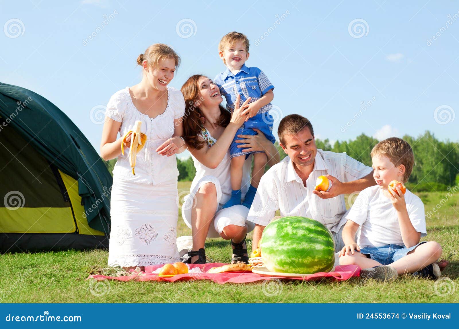Family picnic stock photo. Image of camp, grass, garden - 24553674