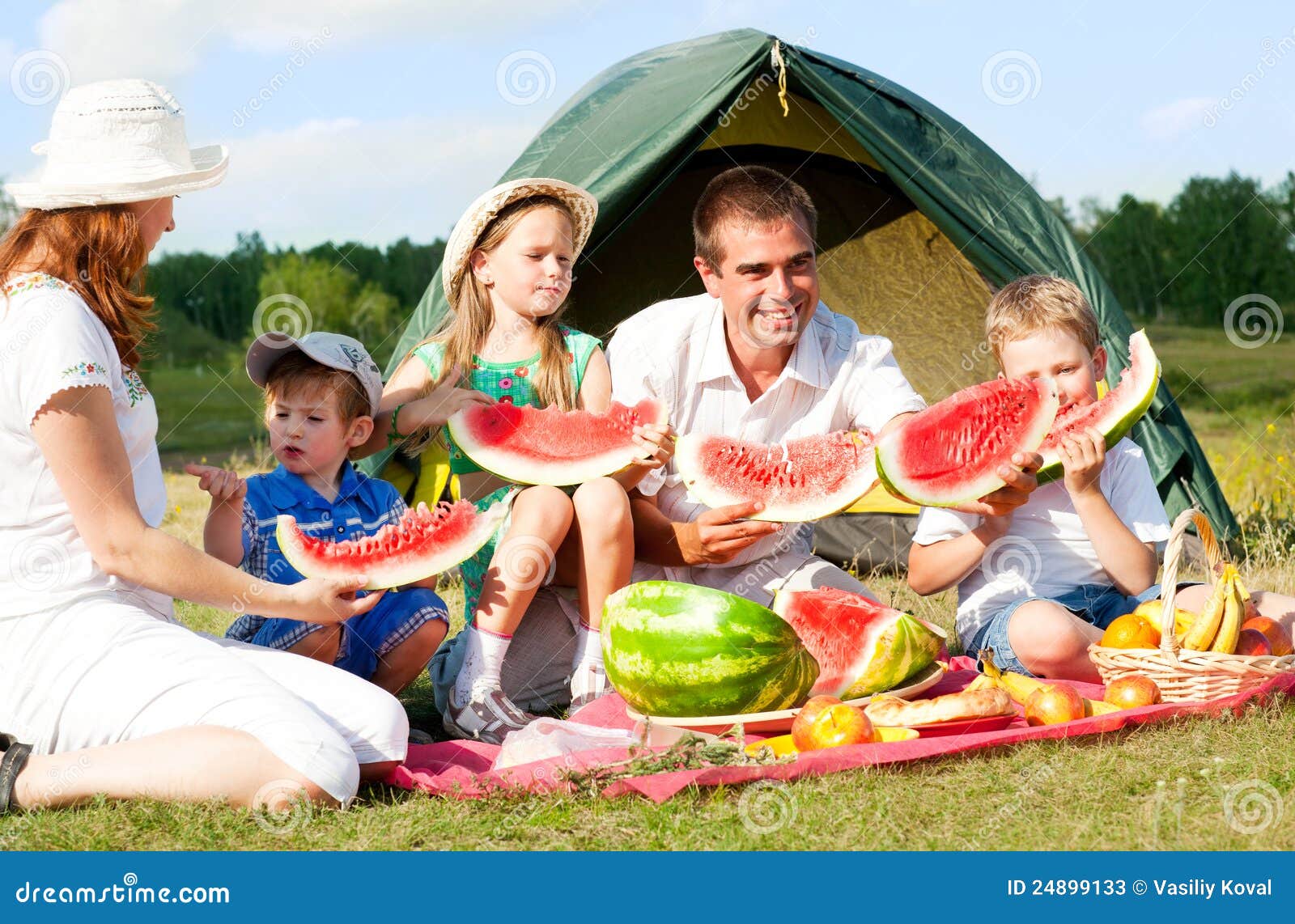 Family picnic stock image. Image of child, happy, fruit - 24899133
