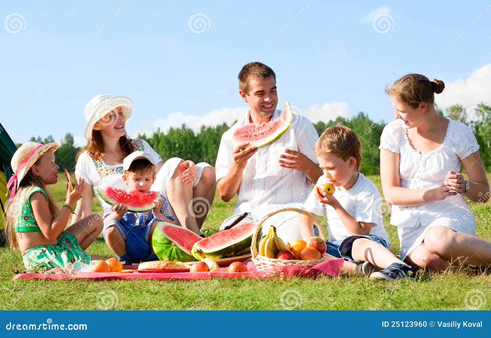 Family picnic stock photo. Image of beauty, meadow, couple - 25123960