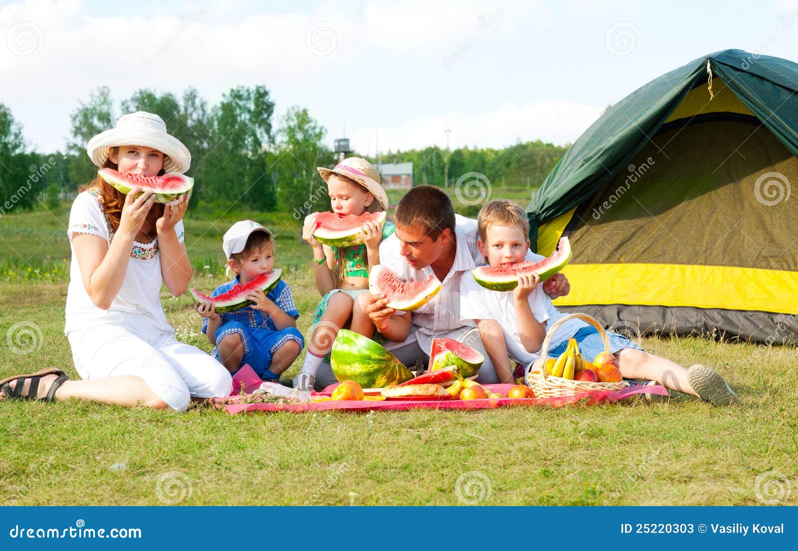 Family picnic stock image. Image of color, nature, mother - 25220303