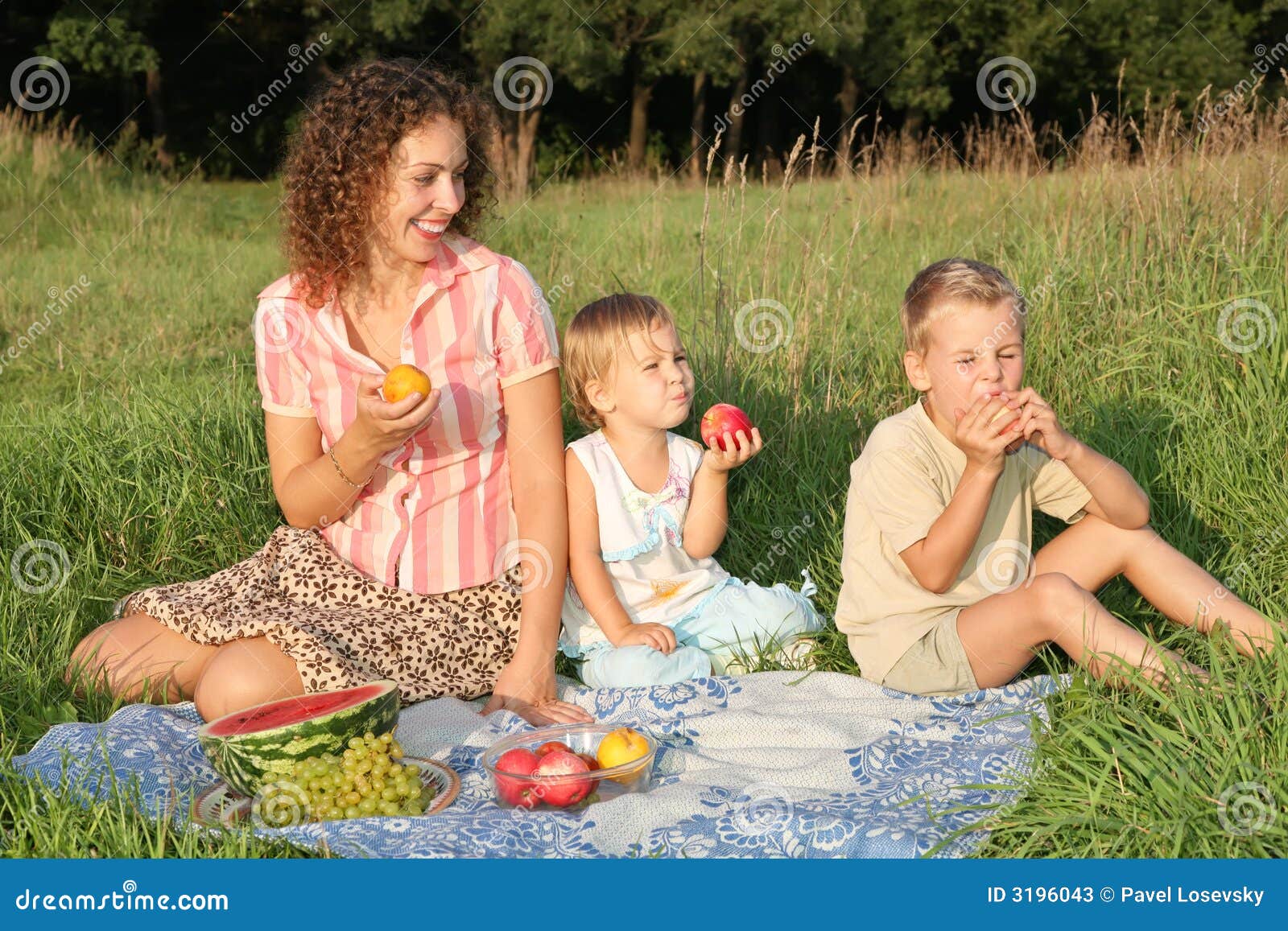 Images Of Picnic With Family