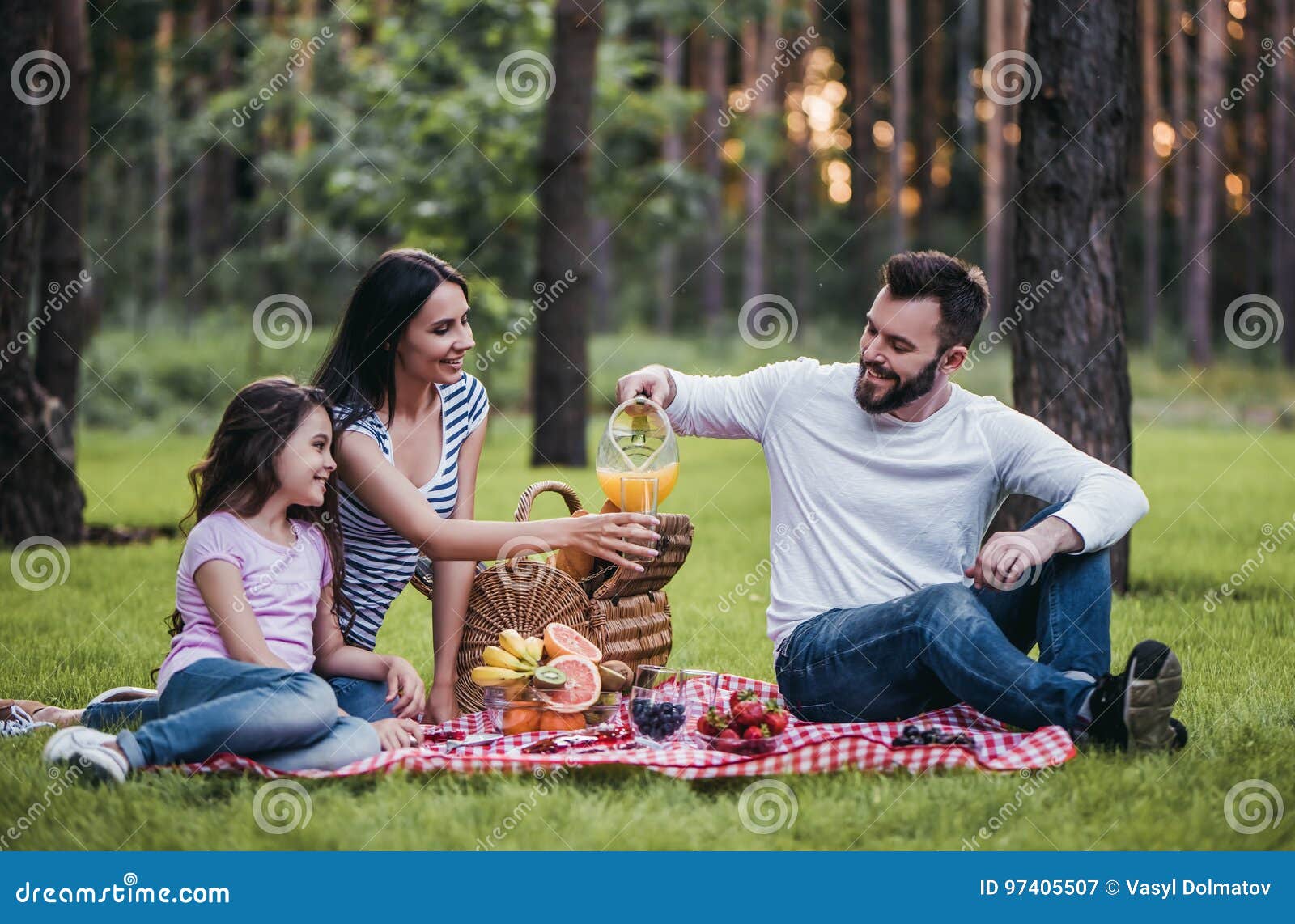 Family on picnic stock image. Image of green, basket - 97405507
